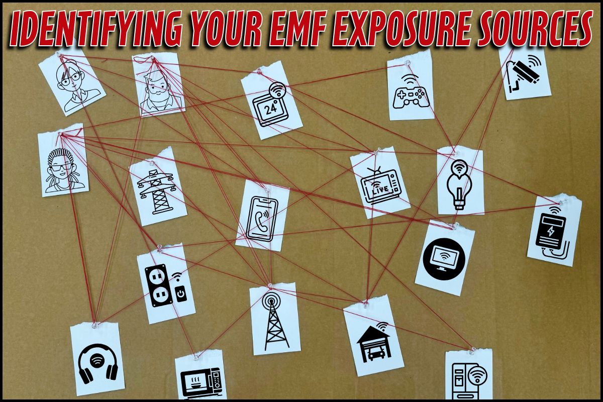 Identifying Your EMF Exposure Sources – Blushield USA