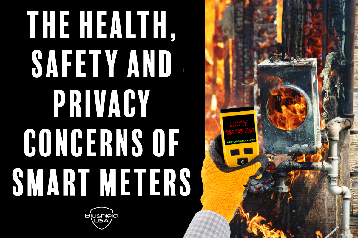 The Health, Safety and Privacy Concerns of Smart Meters – Blushield USA